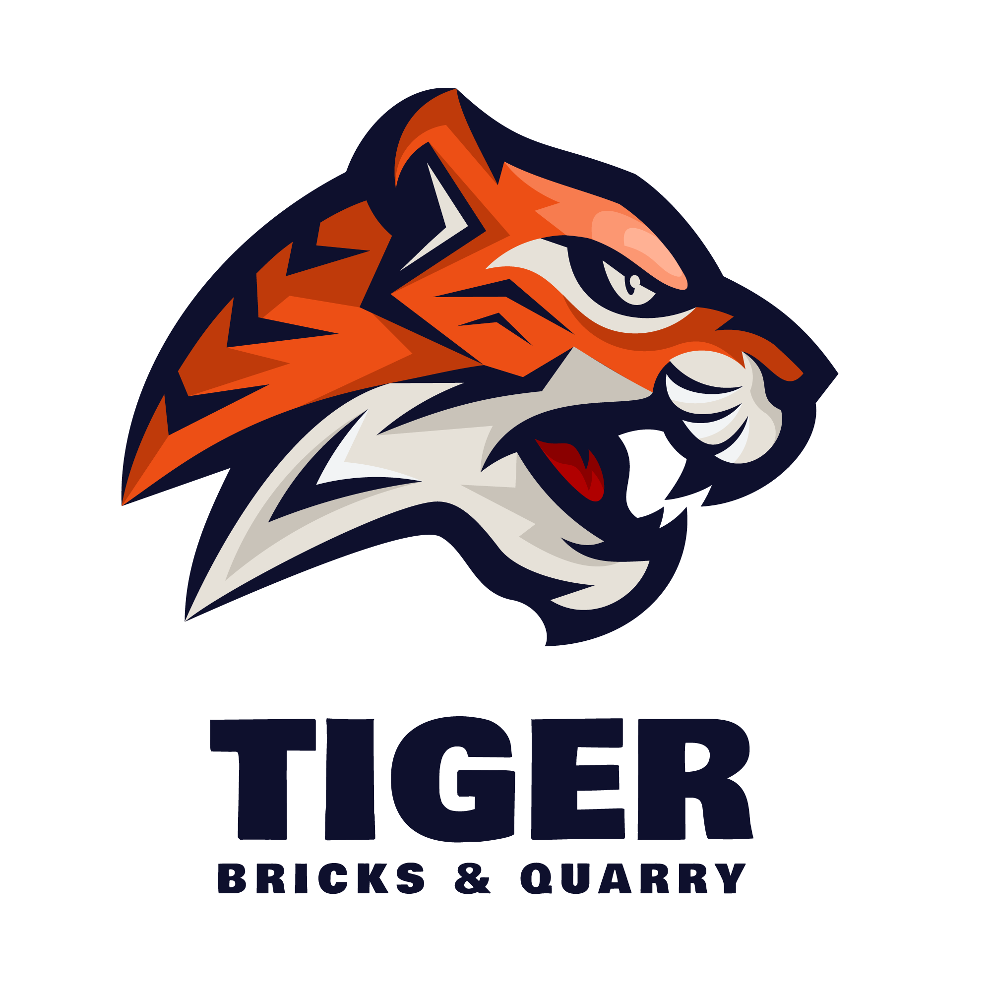 Tiger Bricks – Leaders In Bricks & Quarry